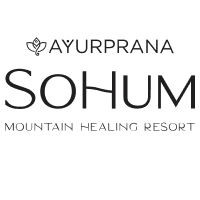 A Luxury Ayurvedic Retreat | SoHum Healing Resort